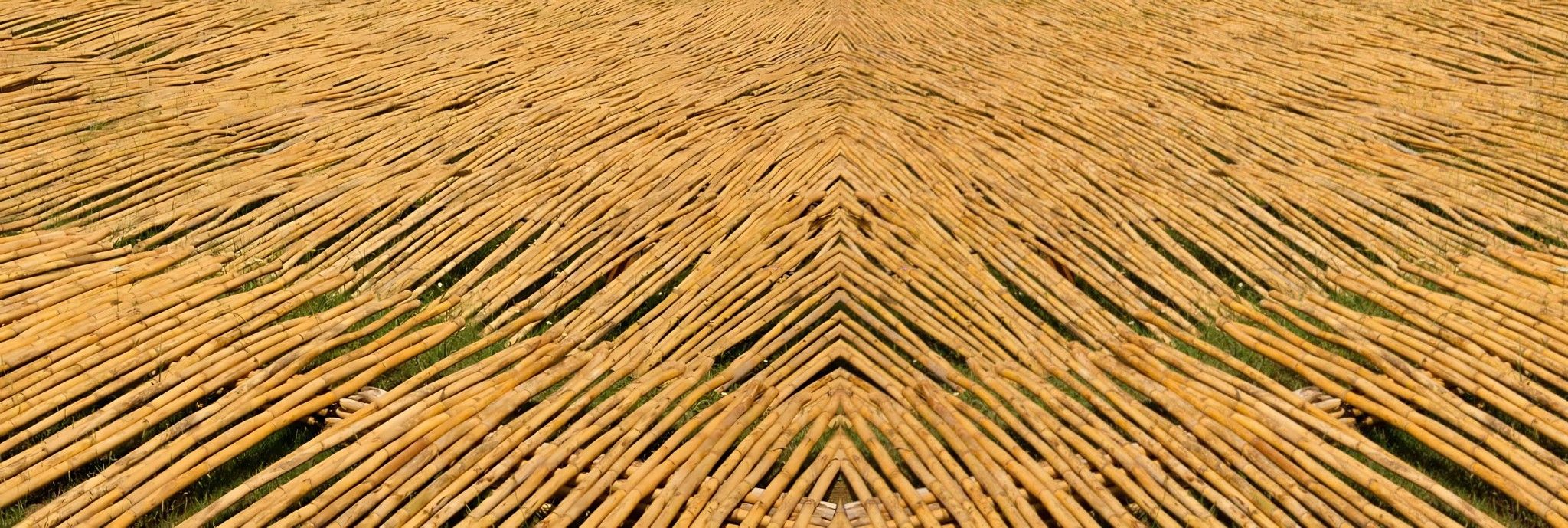 Cane, reeds and accessories for wind instruments | Medir® S.L.